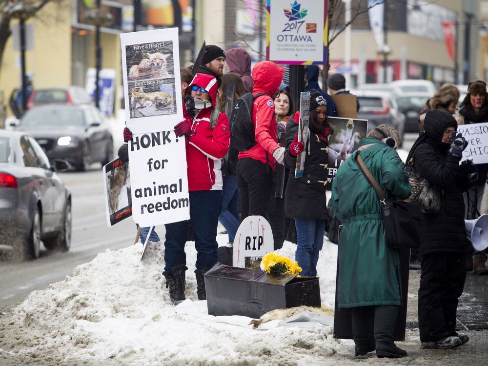 'Would you wear your dog?' Local anti-fur activists take part in day of ...