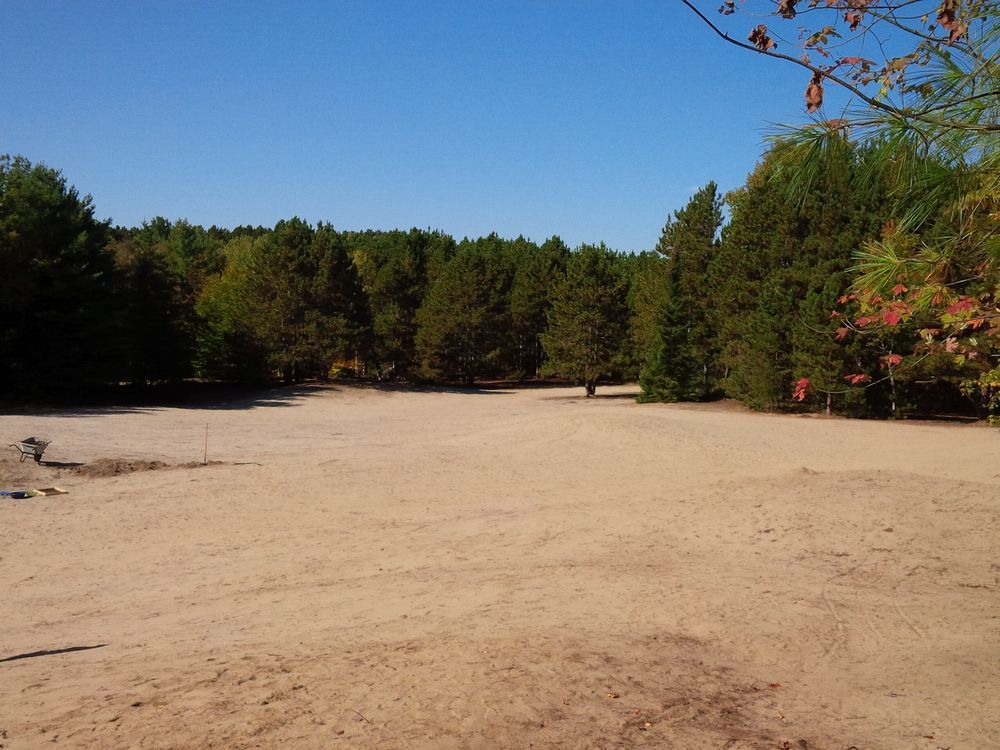 Capital Facts: The tree mishap at Ottawa's rare sand dunes | Ottawa Citizen
