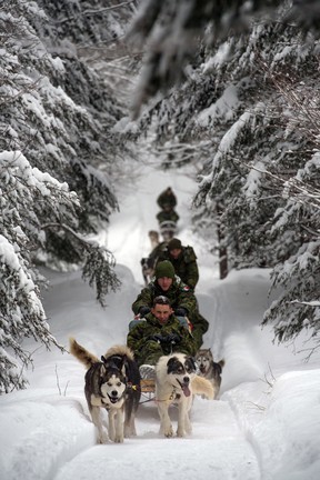 The Canadian Army in action - top photos | Ottawa Citizen