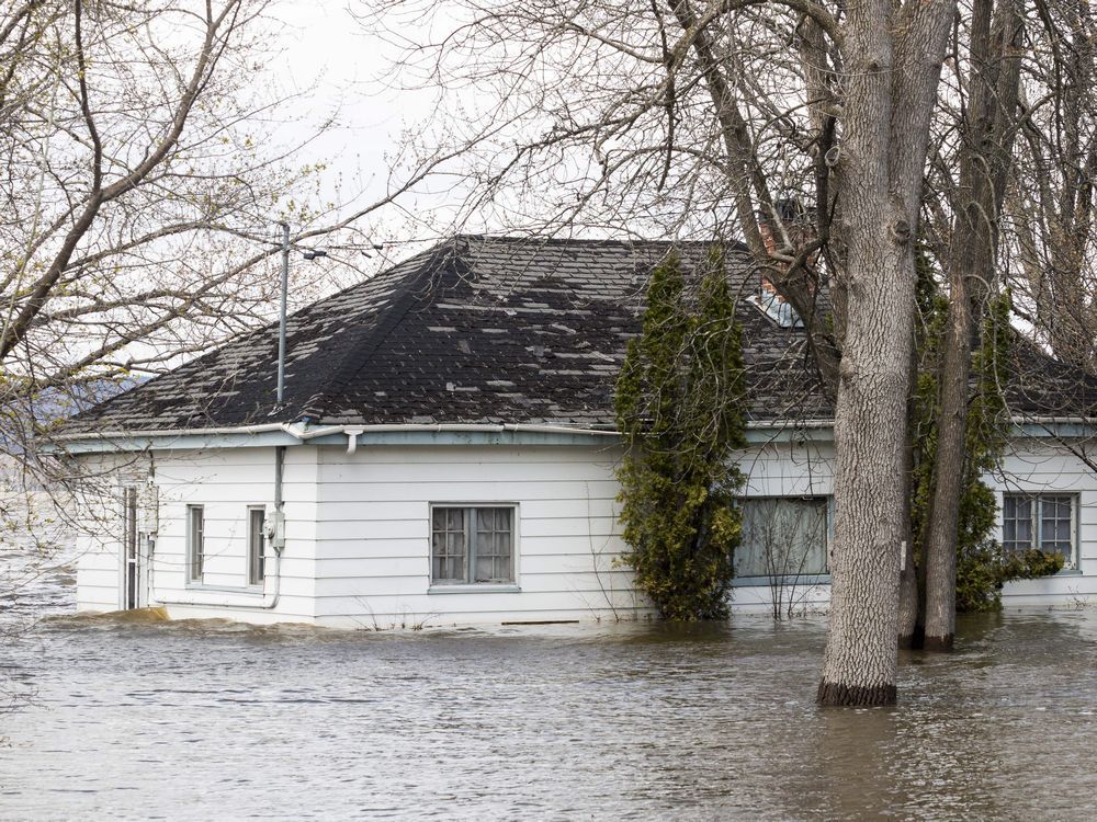 Sheer force of Constance Bay flood 'caught everybody off guard ...