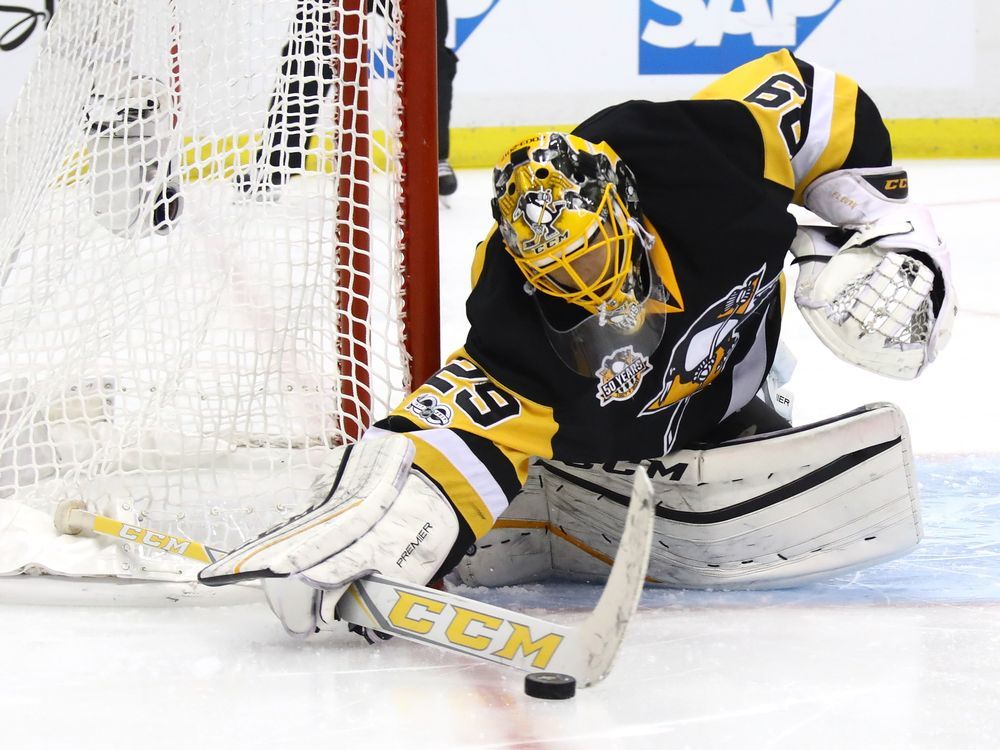 Warren Penguins Like The Senators Are Also Writing Their Own