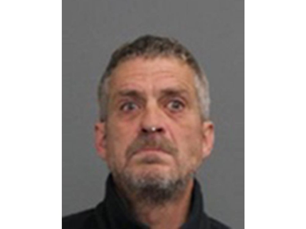 Ottawa police ask for public's assistance to locate missing man ...
