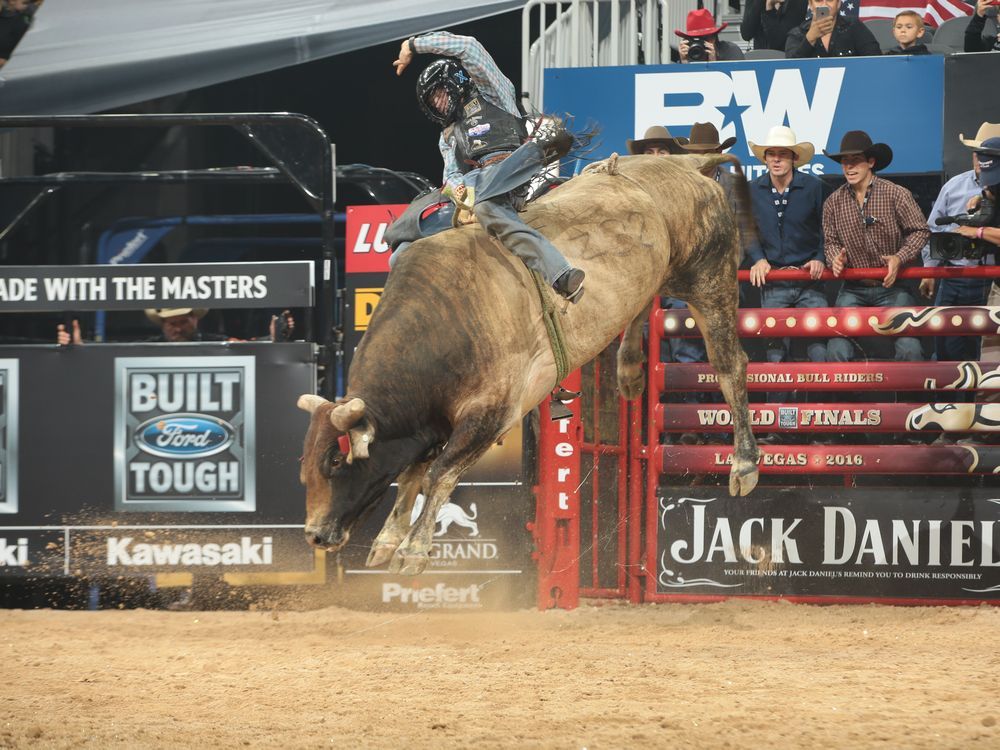 'We're just cowboys out here having fun:' Pro bull-riders come to ...
