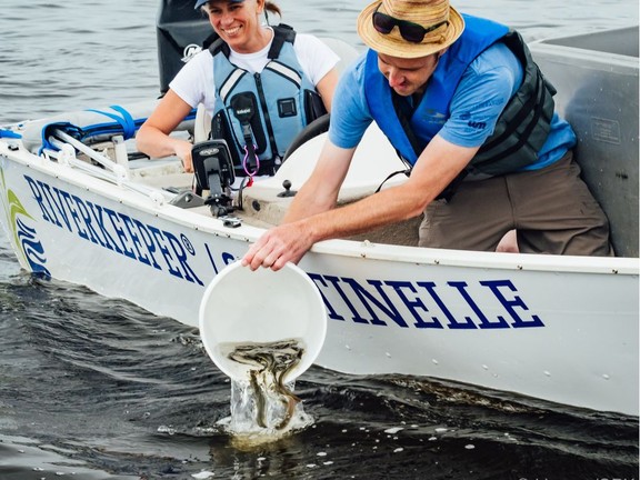 Science of summer: The slippery business of wrangling eels | Ottawa Citizen