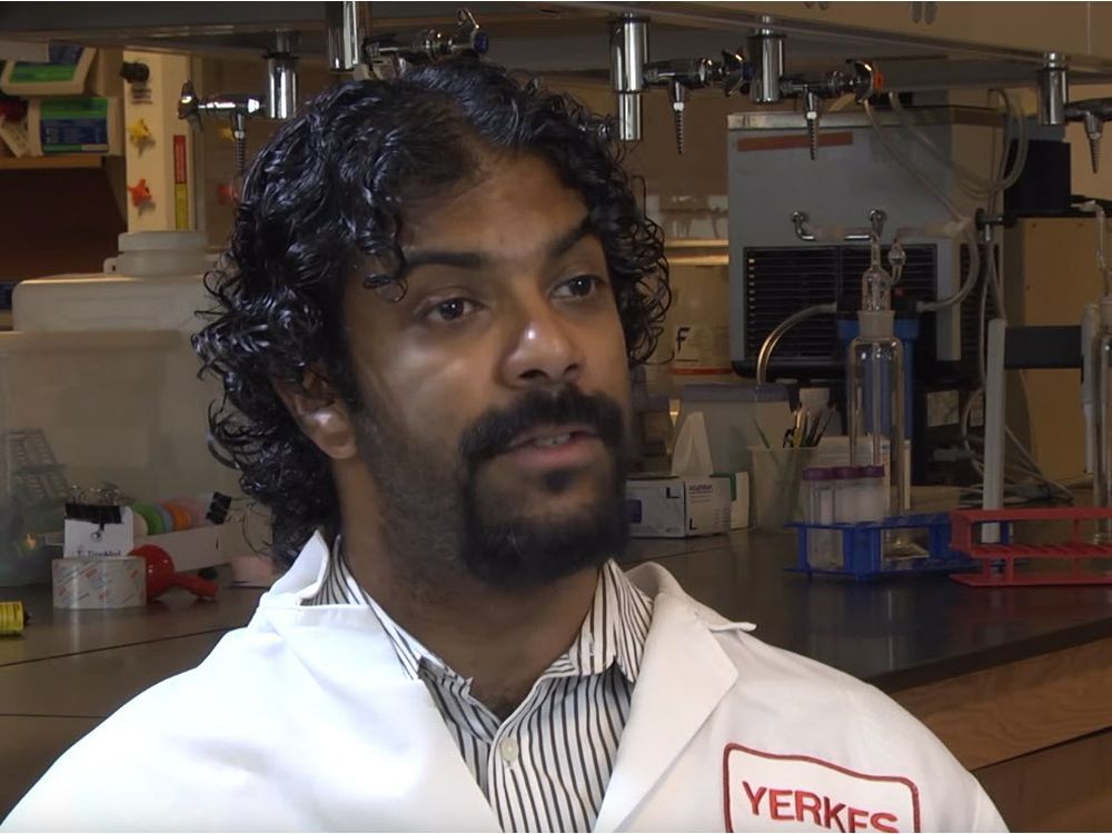 Can we inherit fear? Welcome to the mind-bending science of epigenetics ...