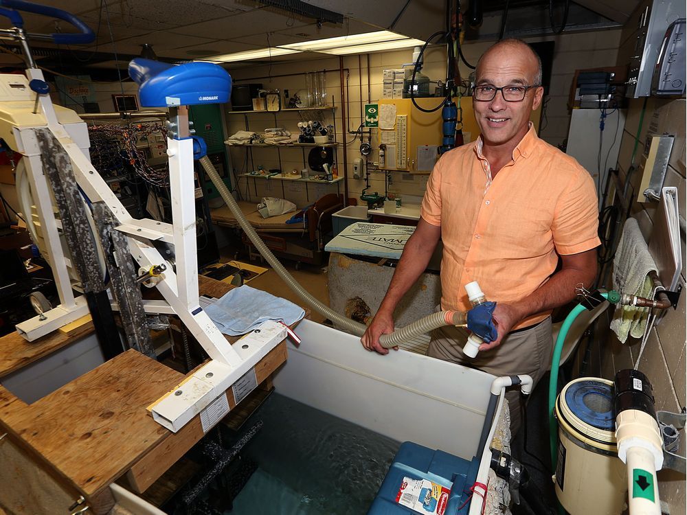 Science of Winter: The cold logic of Professor Popsicle | Ottawa Citizen