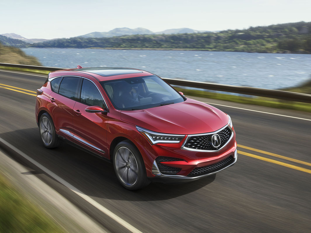 From the Exotic to the Electric at the 2018 Ottawa Gatineau ...