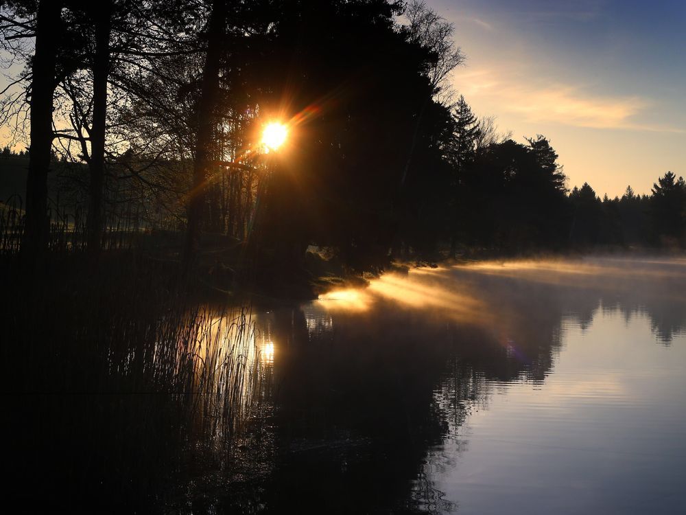 Beautiful spring weather to start the week | Ottawa Citizen