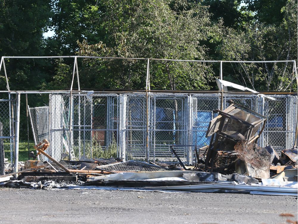 'Unknown number' of animals perish in SPCA fire in Gatineau | Ottawa ...