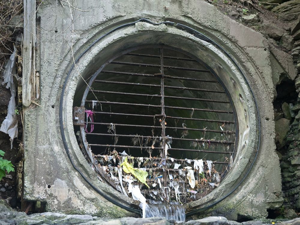 Ottawa River's big, gross gulp: city's combined sewers dump in 340M ...