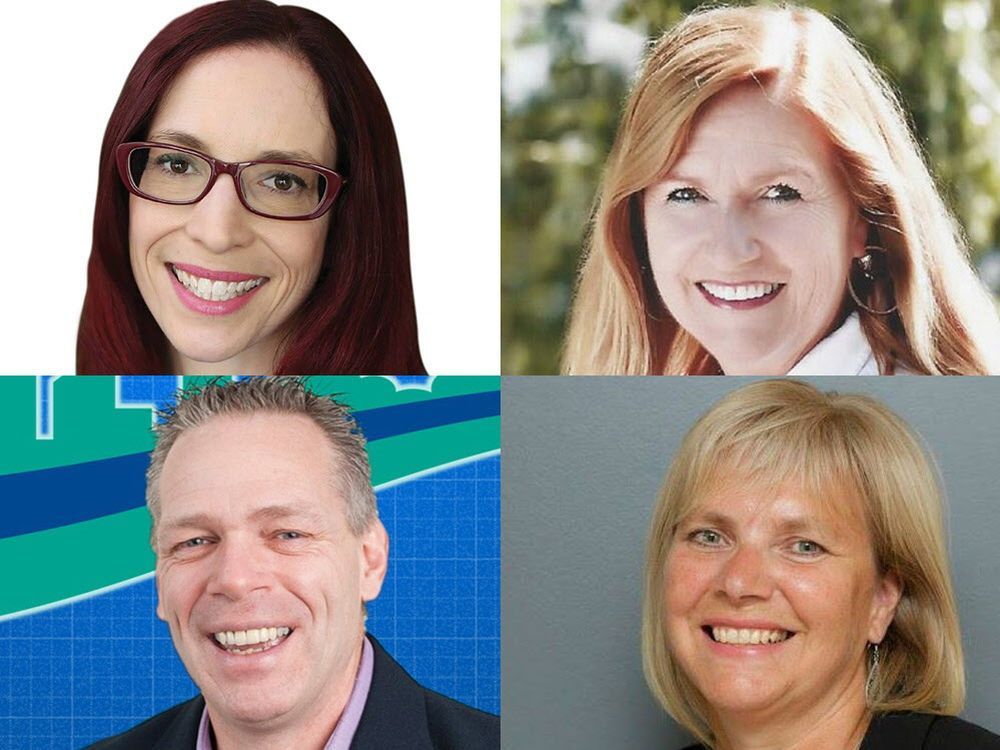 Ottawa Votes: What you need to know about the candidates in Innes ...