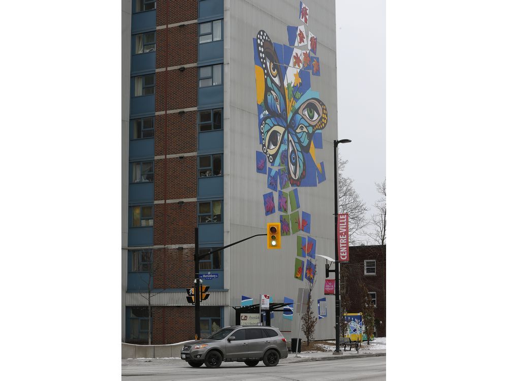 Houses, underpasses and businesses: Ottawa's growing mural culture ...