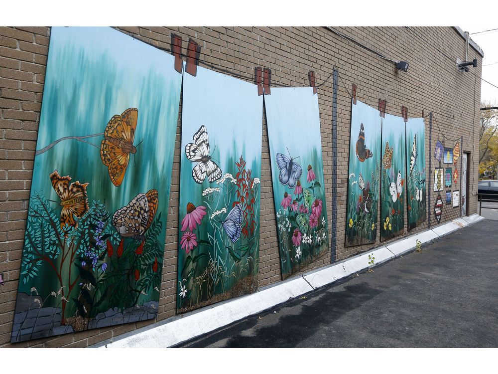 Butterfly mural Ottawa's biggest yet | Ottawa Citizen