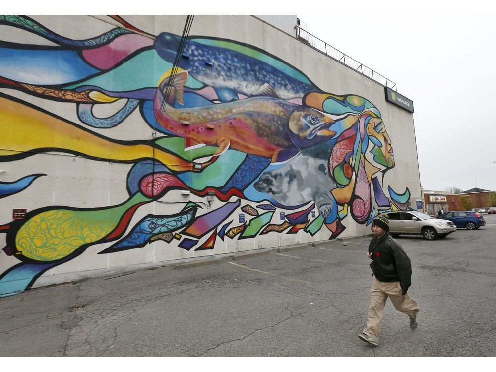Houses, underpasses and businesses: Ottawa's growing mural culture ...