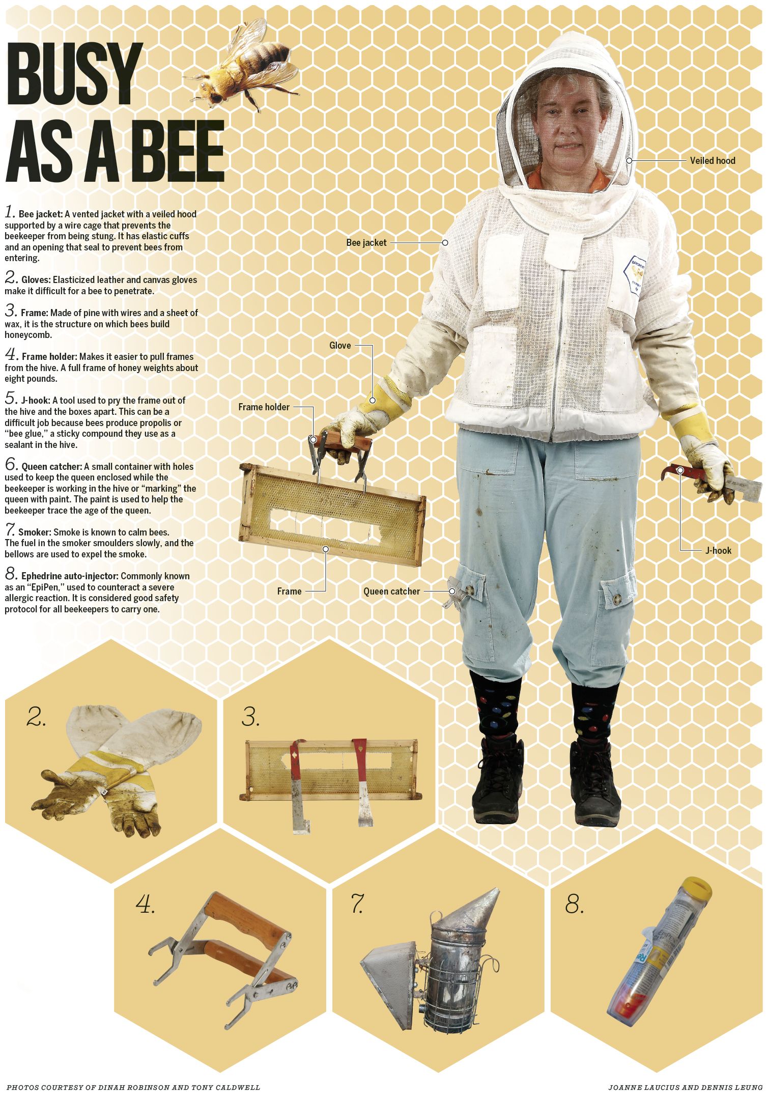 From O-Town to Bee City? There's a buzz about beekeeping in the capital ...