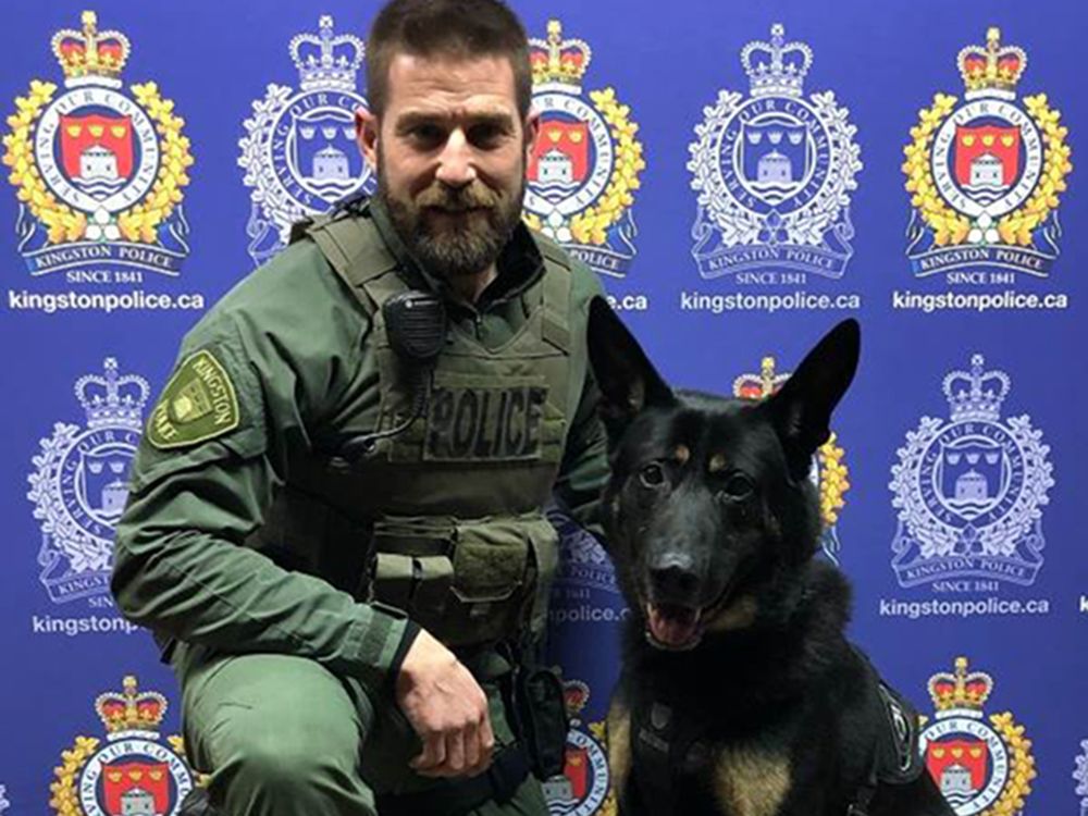 Determined Kingston K9 cop catches rail signal wire thieves | Ottawa ...