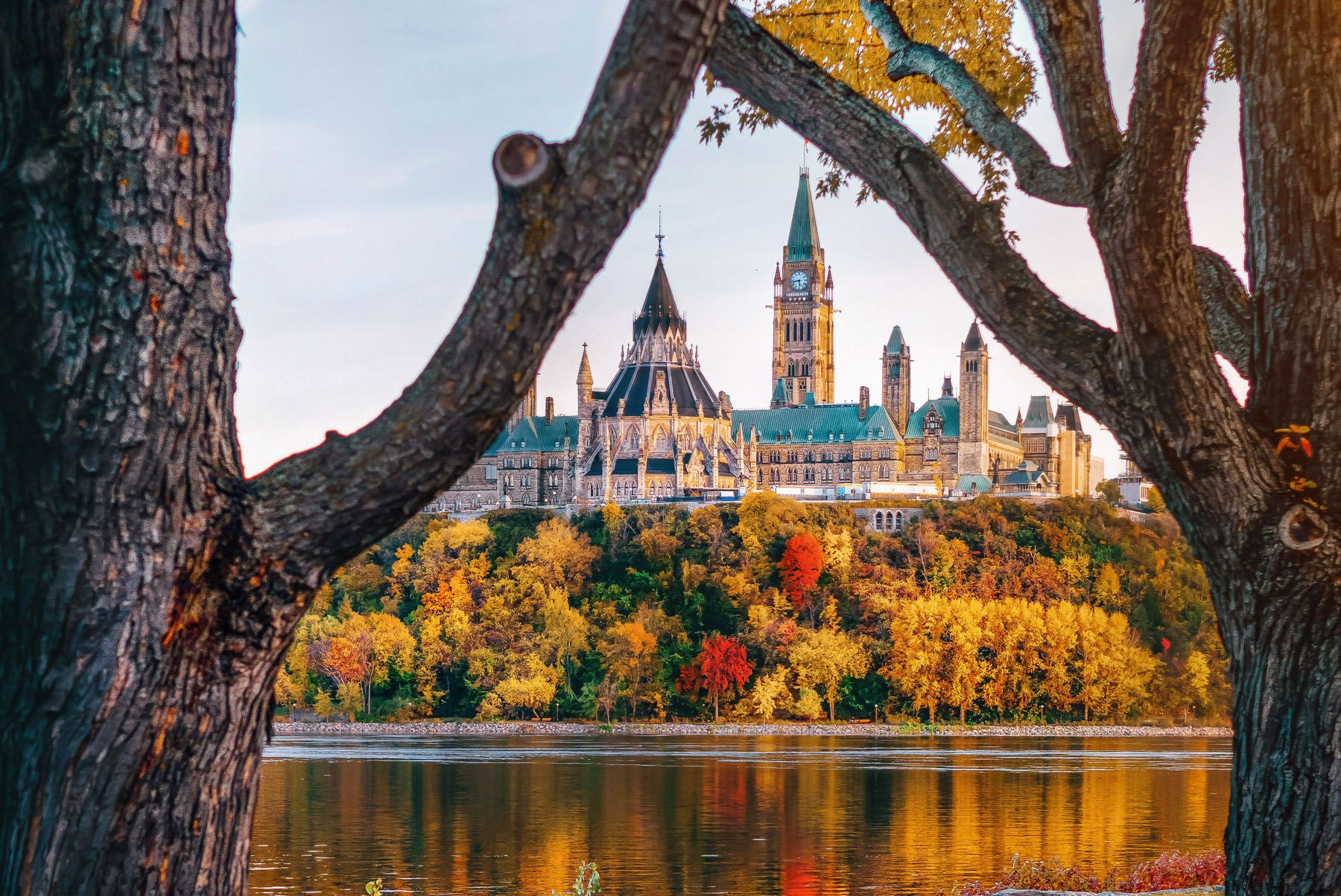 Mild and partly sunny Thanksgiving Monday in the capital | Ottawa Citizen