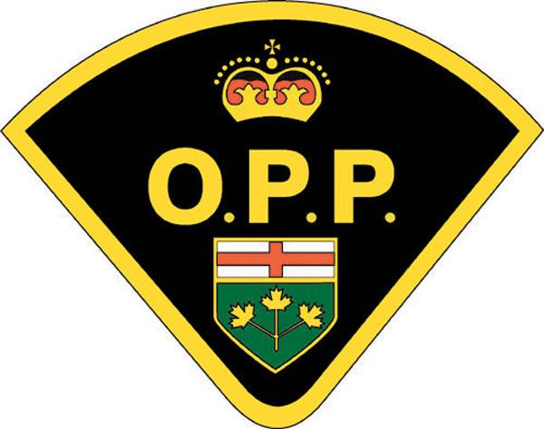 OPP find missing three-year-old boy after brief search at White Lake ...