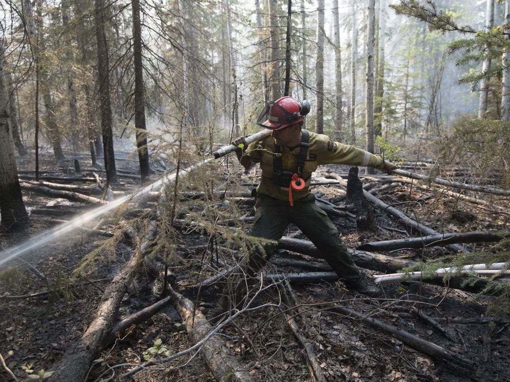 Scientists forecast a risky summer for forest fires | Ottawa Citizen