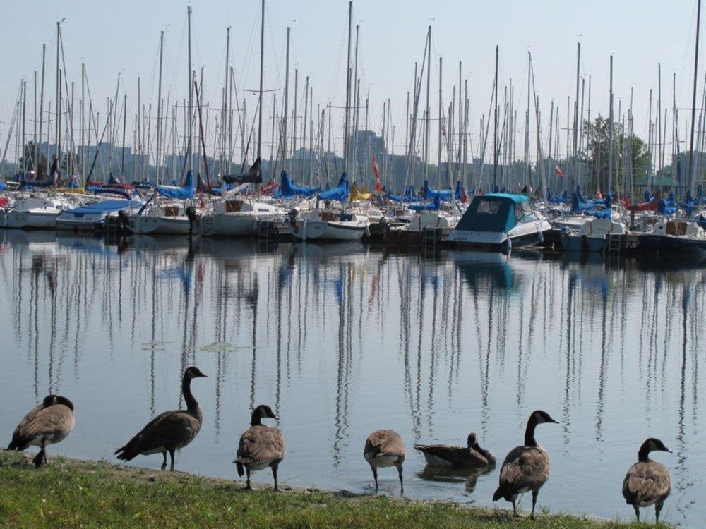 'BOAT CRAZY:' Ottawa boaters eager for relaxed rules to begin water ...