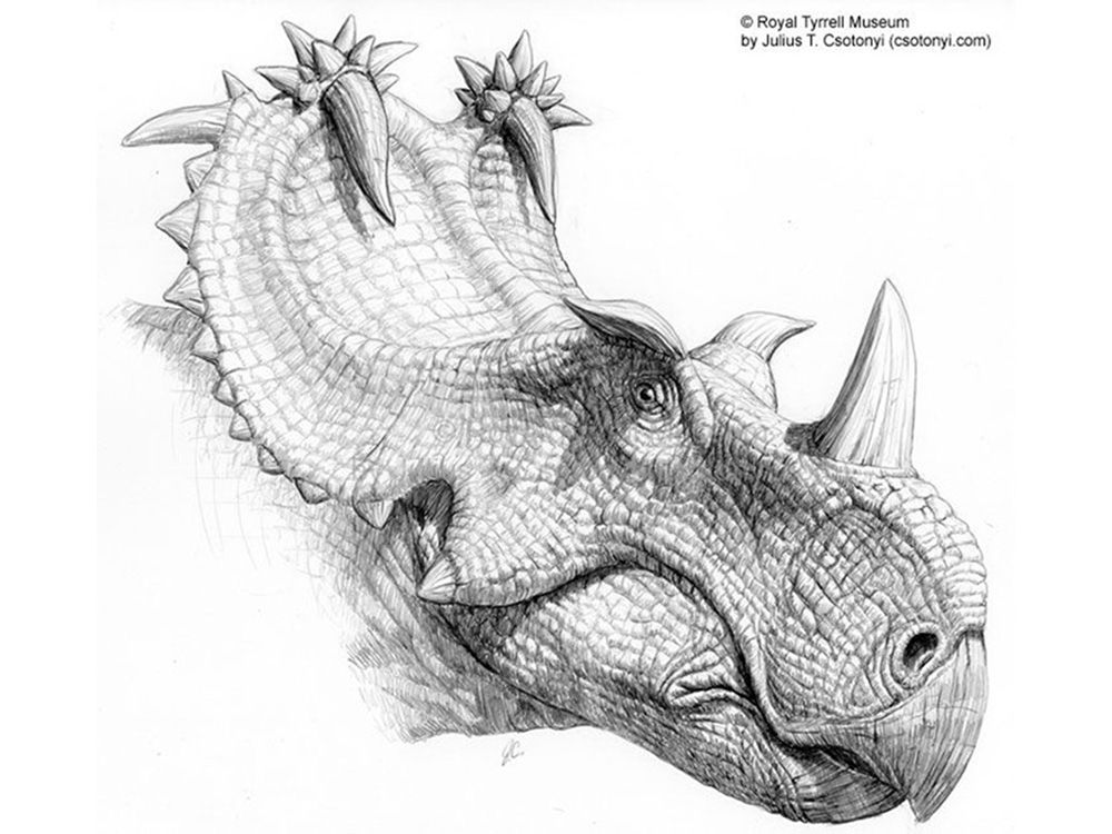 Yes, there really was a Coronosaurus — and it was discovered in Canada ...