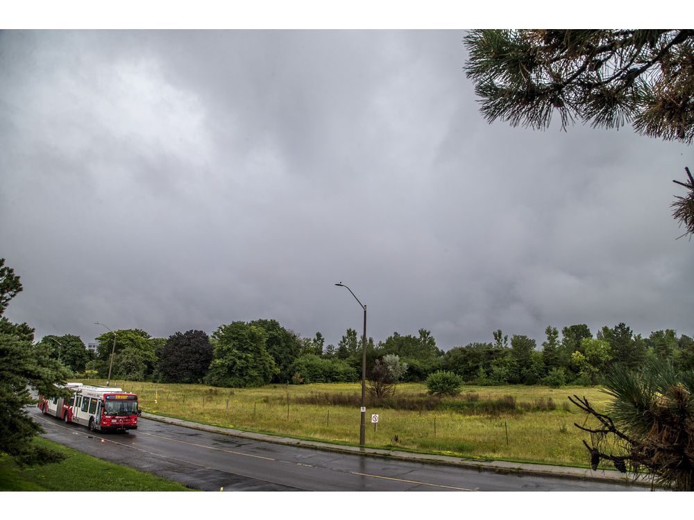 Feds still saving land at key LRT node for new offices despite ...