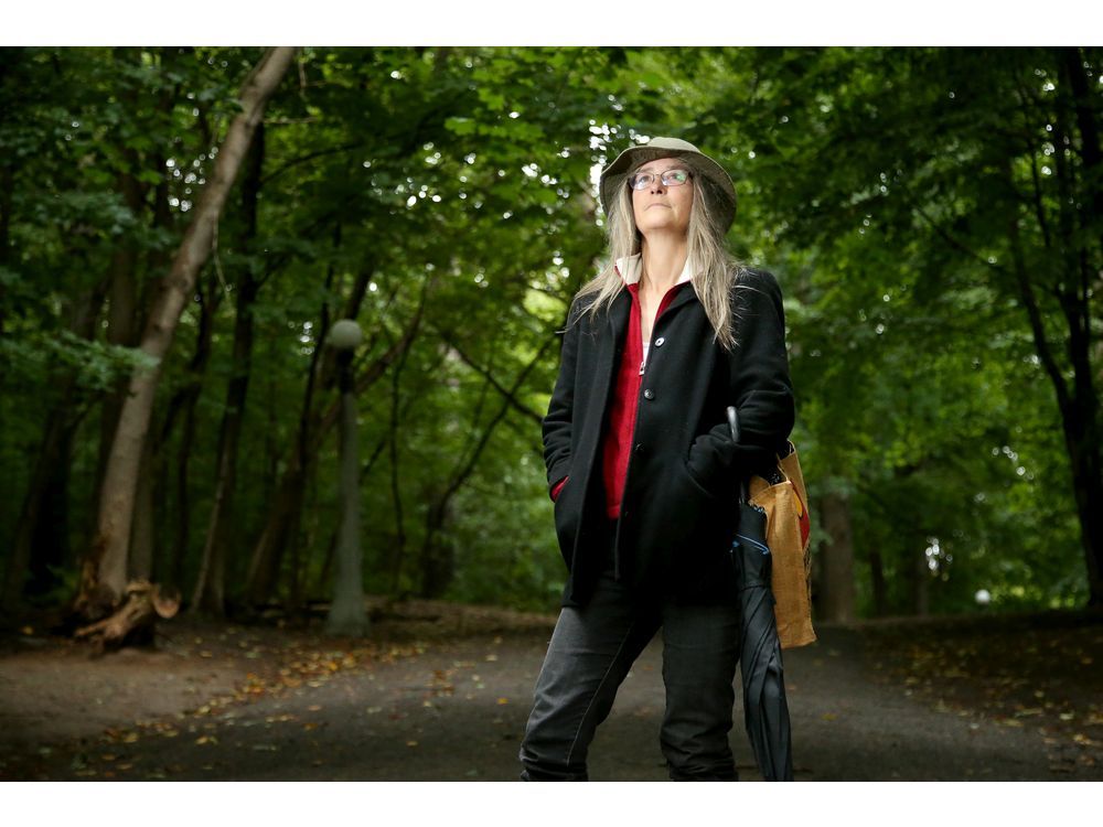 Boddy: Please stop destroying the Woods of Hampton Park | Ottawa Citizen