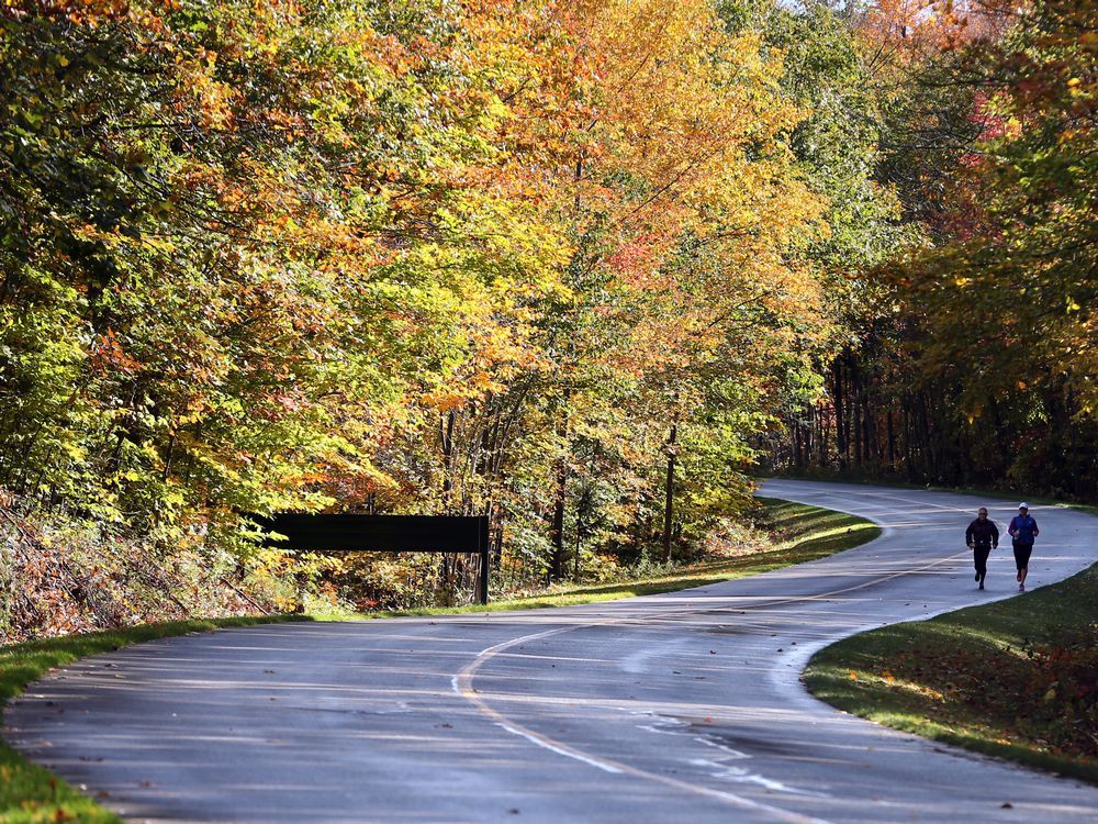 Weather: Summery weather on a sun filled fall weekend | Ottawa Citizen