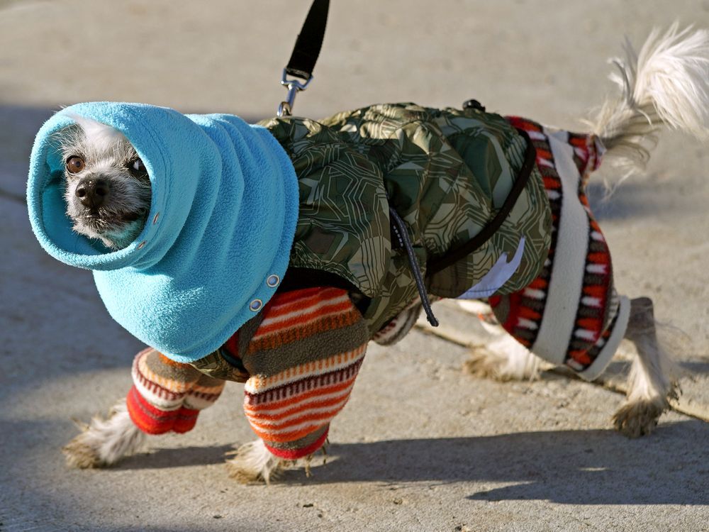 Weather: cold snap starts with blustery day that won't break zero, -10 ...