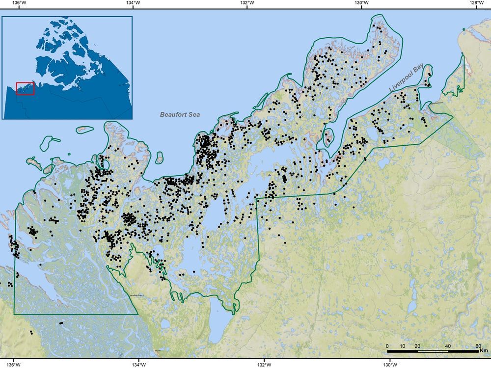 Pingos galore: Digital mapping project doubles known number of iconic ...