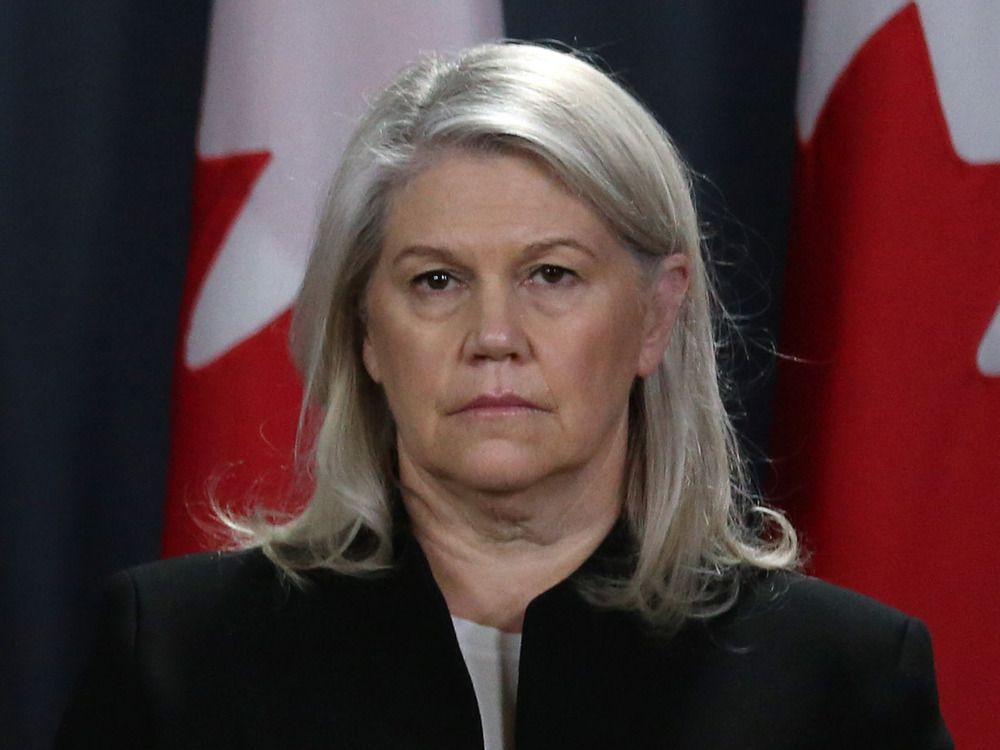 Deputy minister's son works at defence firm behind winning warship bid ...