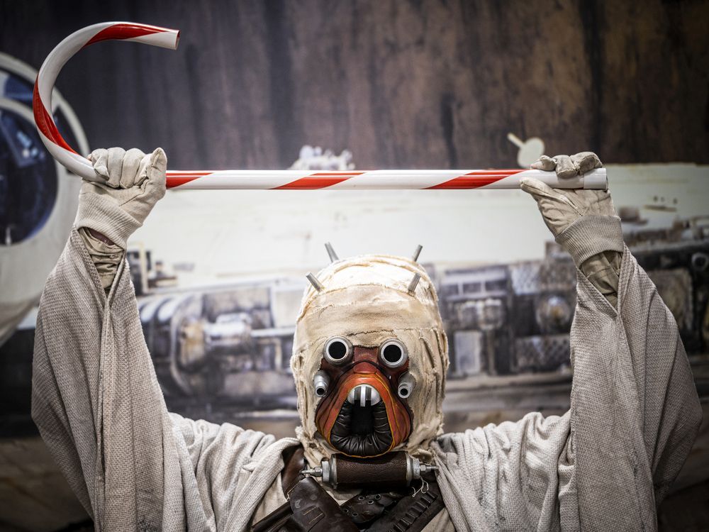 Photo Gallery: The return of Ottawa Comiccon, November 2021 | Ottawa ...