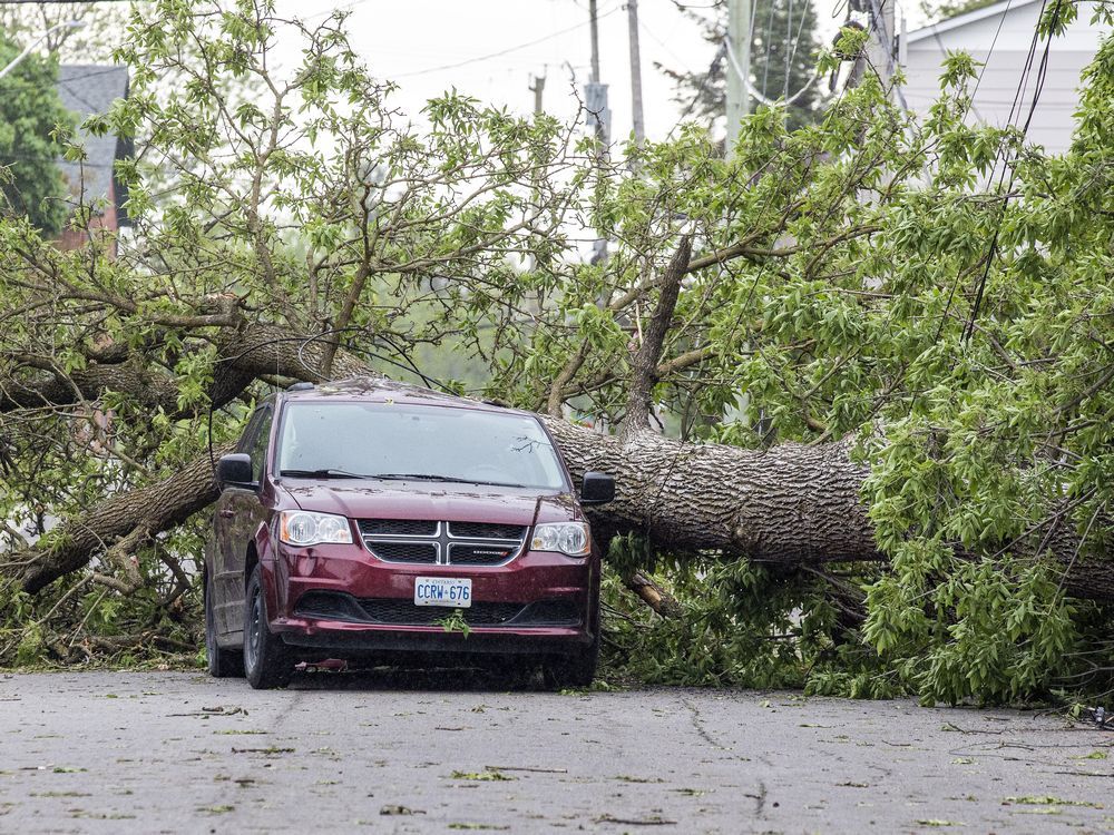 Ottawa storm 2022: A look at the storm's path through the city | Ottawa ...
