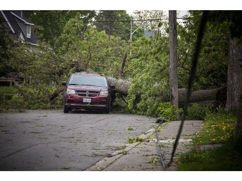 Ottawa storm 2022: A look at the storm's path through the city | Ottawa ...