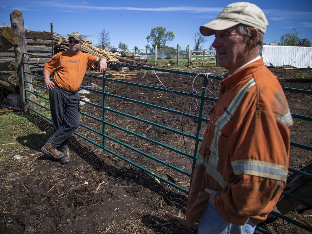 Photos: Rosehill Ranch | Ottawa Citizen