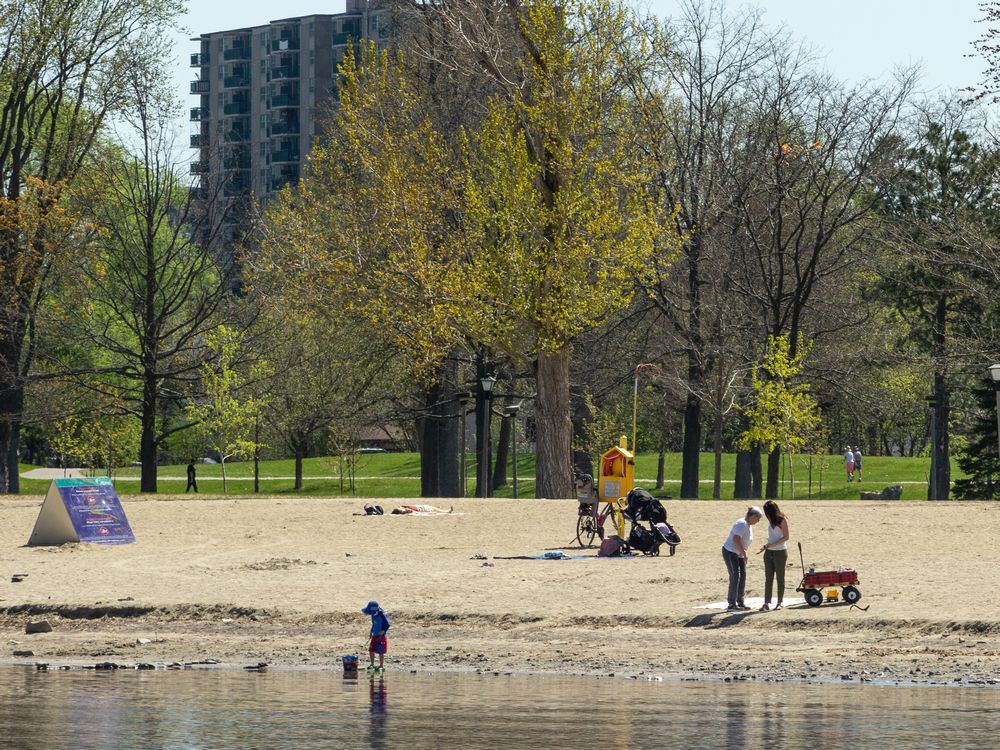 Weather: Sunny, 32 C and hello humidity Friday as heat wave continues ...