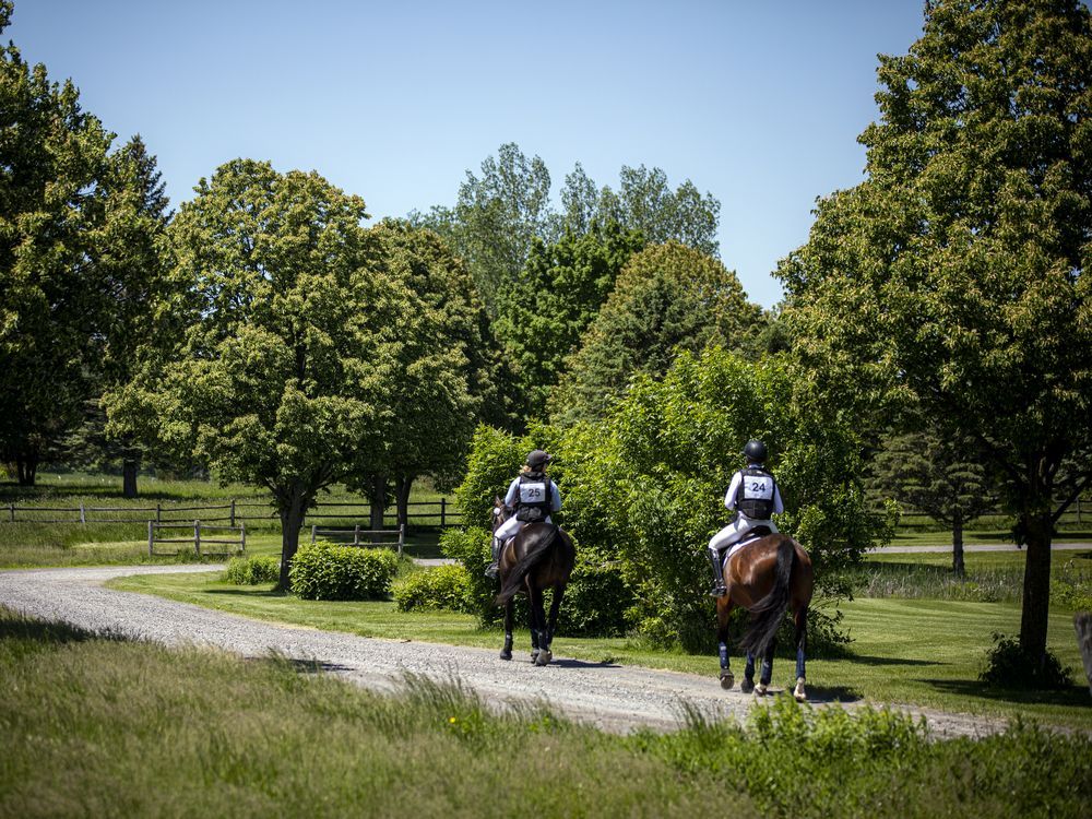 Wesley Clover Parks wants tax break from city hall, arguing 'we act ...