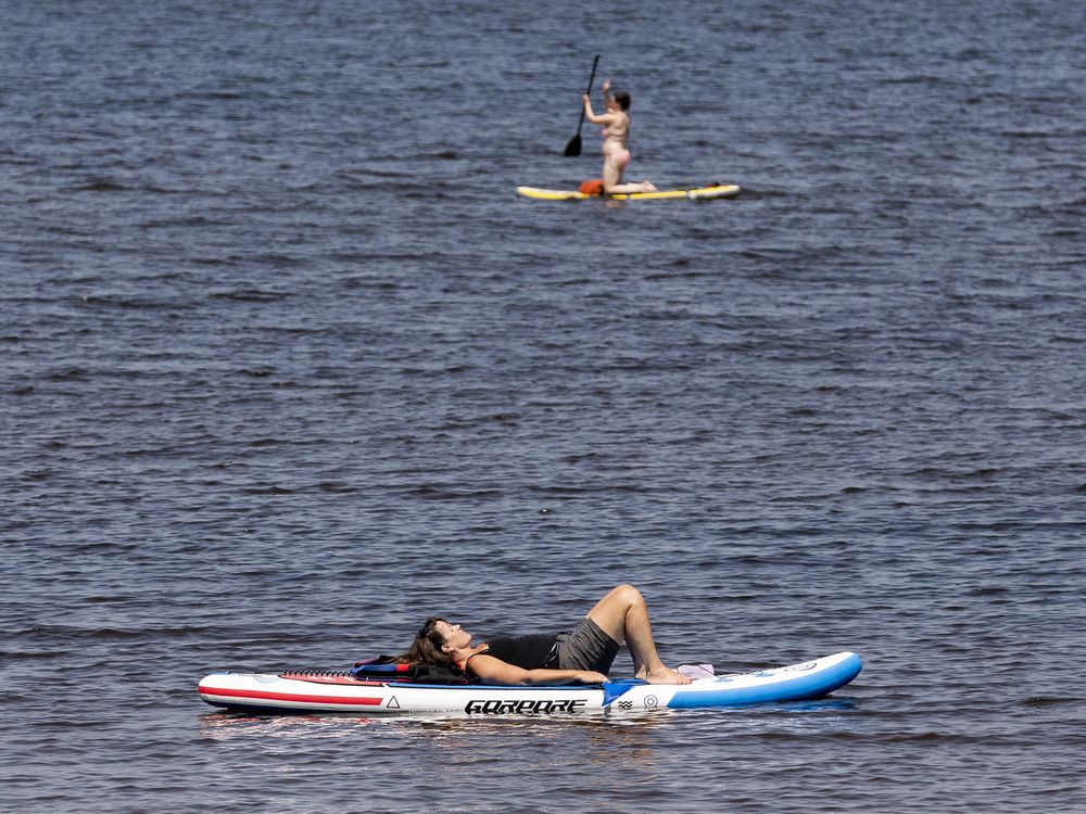 Sunday weather: Clear skies and humid for jam-packed summer weekend ...