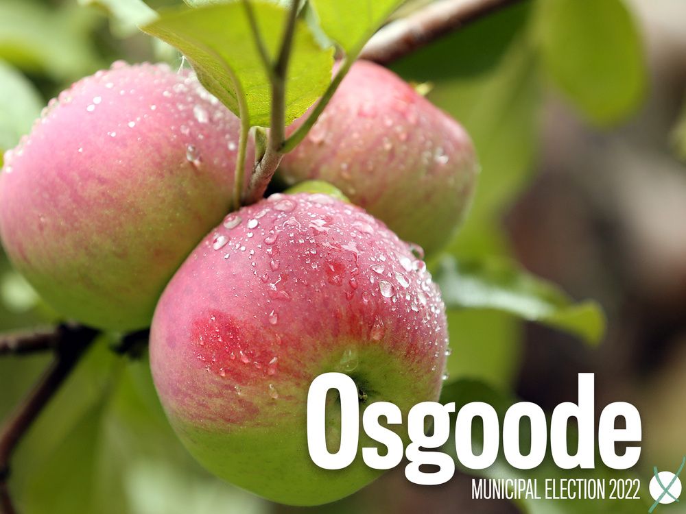 What's the biggest municipal election issue in Ward 20 - Osgoode ...