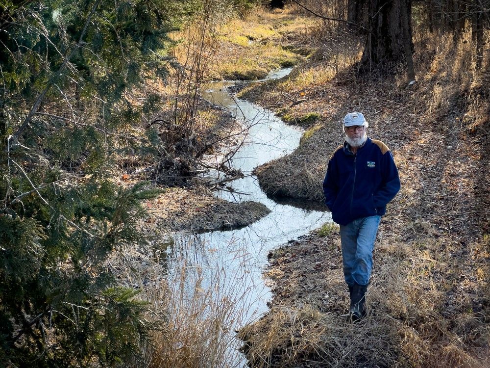 Bob Dobson has planted 40,000 trees on his Cobden farm in 51 years ...