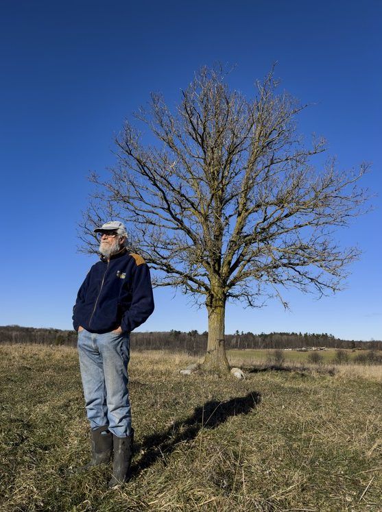 Bob Dobson has planted 40,000 trees on his Cobden farm in 51 years ...
