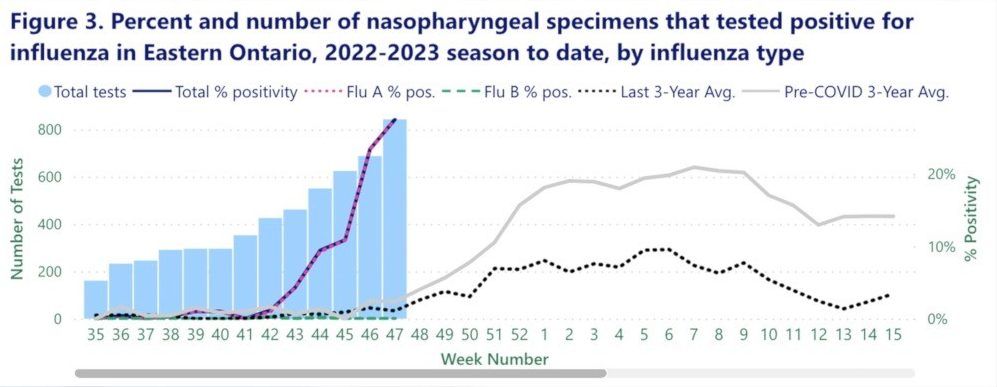 All about the triple threat of viruses slamming Ottawa | Ottawa Citizen