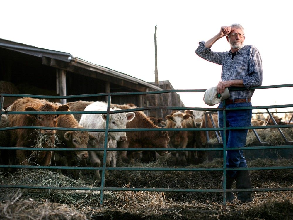 Bob Dobson has planted 40,000 trees on his Cobden farm in 51 years ...