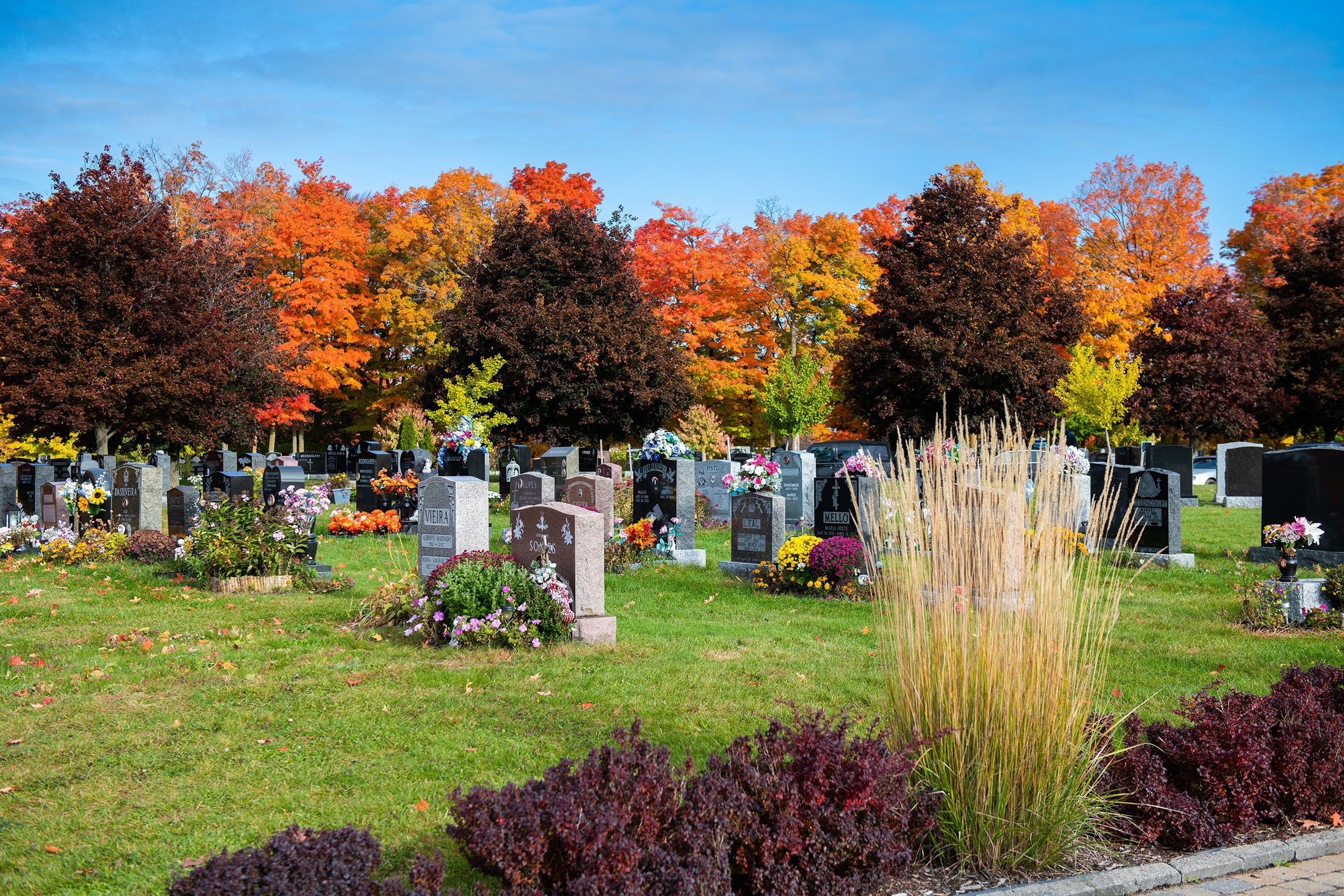 Black History Month at Beechwood is a time for celebration, reflection ...