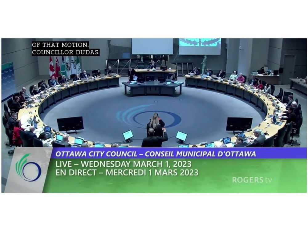 Why full-time 'Blacktivist' Robin Browne fights | Ottawa Citizen