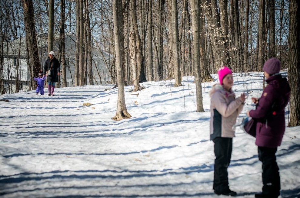Maple sugar fans throng to Vanier Muséoparc's revived festival | Ottawa ...