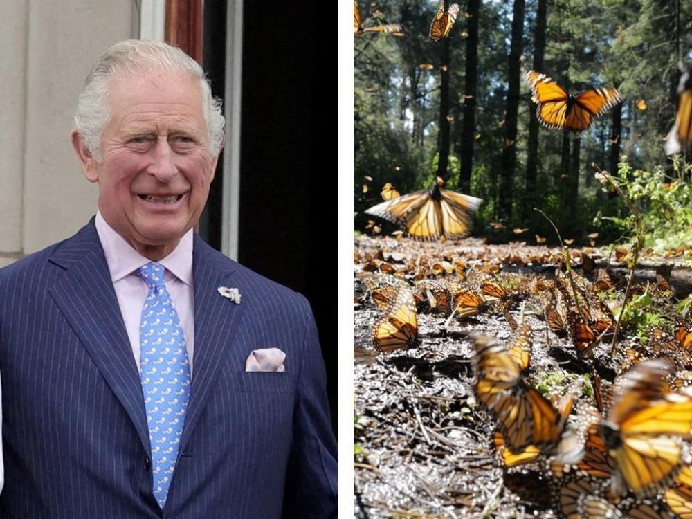 Deachman: Monarch vs. Monarch | Ottawa Citizen Deachman: Monarch vs. Monarch | Ottawa Citizen