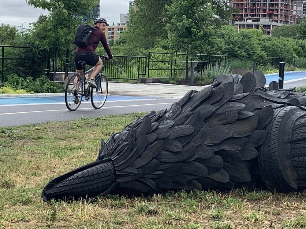 Roadkill crow latest edition to Ottawa's public art scene | Ottawa Citizen