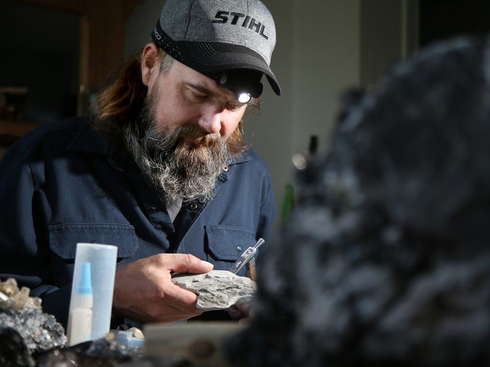 Fossil hunter: Bill Neville’s search for relics from the Champlain Sea ...