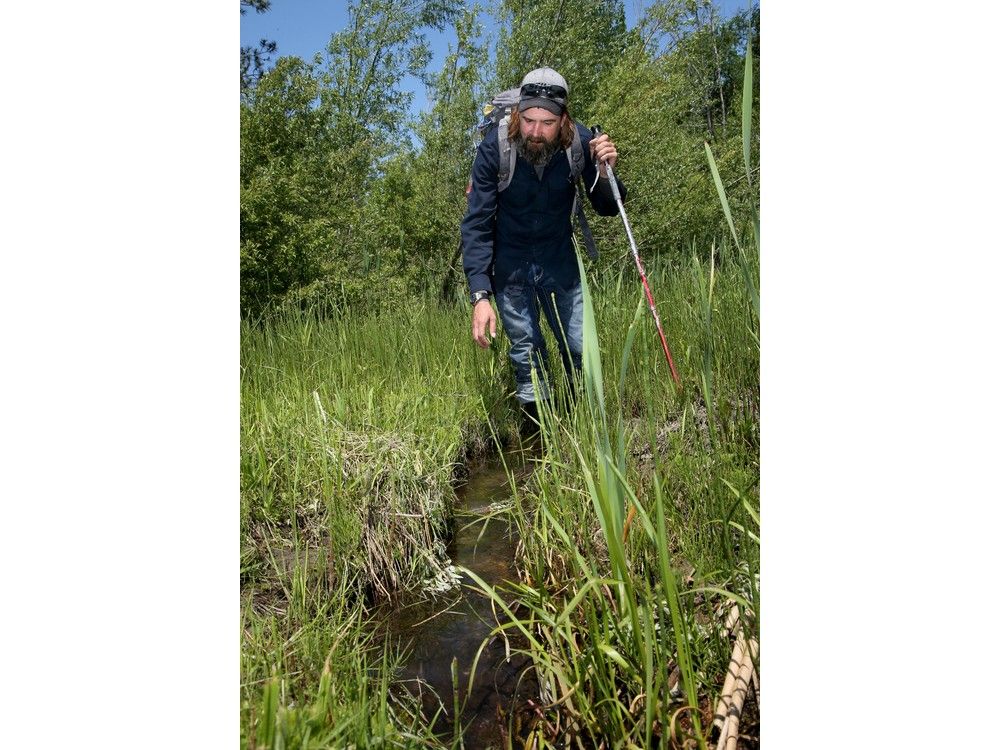Fossil hunter: Bill Neville’s search for relics from the Champlain Sea ...